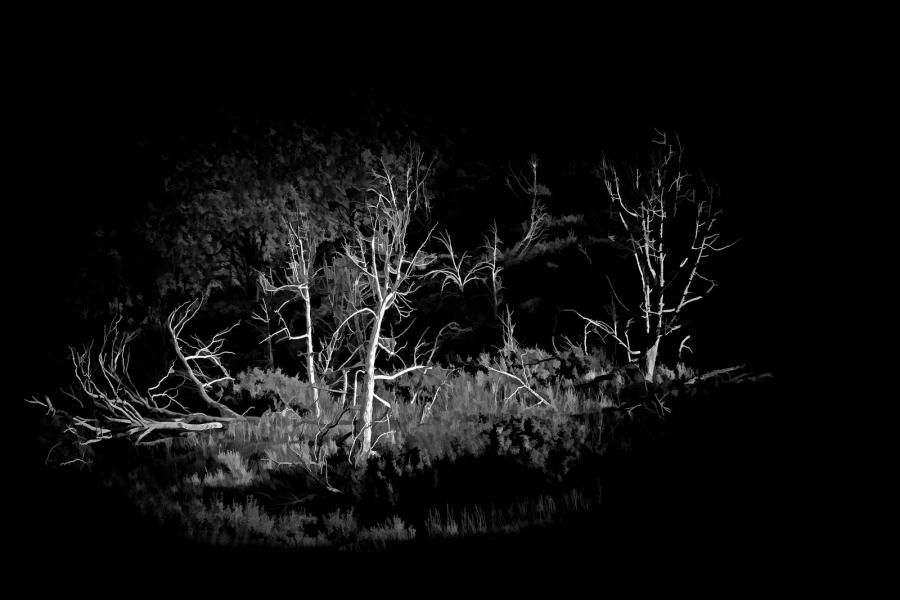 Gallery | Points Of View Artists of Brunswick, Maine